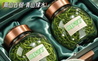 苦丁茶多少钱一斤_苦丁茶价格贵不贵