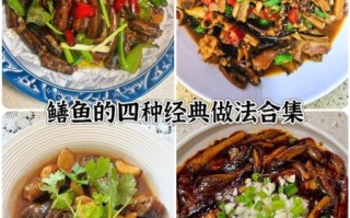 黄鳝怎么做好吃_家常黄鳝做法大全