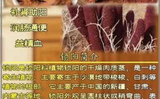 锁阳的功效与作用_锁阳怎么吃效果最好