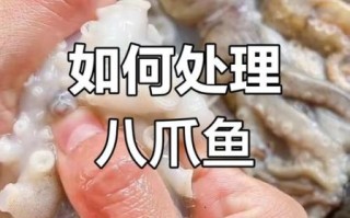八爪鱼怎么清洗内脏_八爪鱼内脏能吃吗