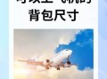 牛肉酱可以带上飞机吗_托运还是随身携带