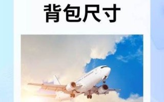 牛肉酱可以带上飞机吗_托运还是随身携带