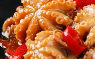 八爪鱼爆头黑汁好吃吗_八爪鱼爆头黑汁味道如何