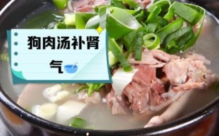 正宗炖狗肉的做法窍门_如何去除土腥味