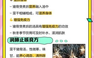 菜干猪骨汤的功效_孕妇可以喝吗