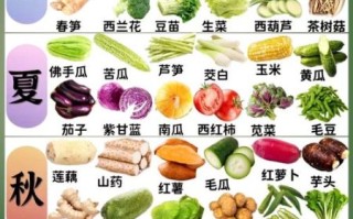 美容养颜的蔬菜有哪些_哪些蔬菜最抗衰老