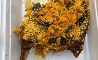 鸭腿怎么做好吃_鸭腿的做法大全