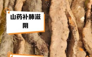 炒山药的功效与作用_炒山药怎么炒好吃又营养