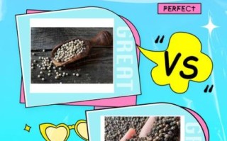 白胡椒和黑胡椒哪个更暖胃_白胡椒和黑胡椒的功效区别