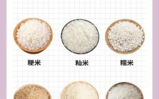 粳米和大米的区别在哪里_粳米与籼米营养差异