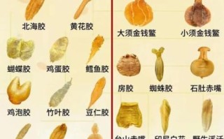 食用明胶用量多少合适_食用明胶怎么用
