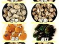蚬子和花蛤的区别哪个好吃_口感营养大比拼