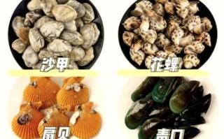 蚬子和花蛤的区别哪个好吃_口感营养大比拼