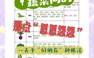 蔬菜人终极淘汰赛怎么玩_蔬菜人终极淘汰赛规则