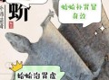 蛤蚧的功效与作用禁忌_哪些人不能吃蛤蚧