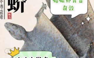蛤蚧的功效与作用禁忌_哪些人不能吃蛤蚧