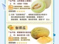 甜瓜的营养价值与功效_甜瓜有哪些作用