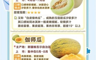 甜瓜的营养价值与功效_甜瓜有哪些作用