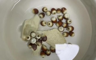 海蛎干怎么泡发_海蛎干有什么功效