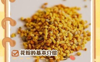 花粉的作用与功效有哪些_花粉怎么吃效果最好