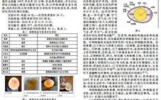 鸡蛋返生论文是真的吗_鸡蛋返生实验原理