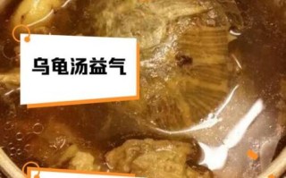 乌龟汤孕妇能吃吗_乌龟汤什么人不能喝