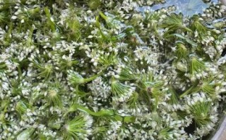 韭菜可以做韭菜花酱吗_韭菜花酱制作方法