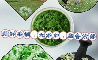内蒙古韭菜花酱怎么做_正宗做法步骤