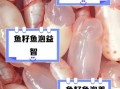 鱼籽鱼泡的营养价值_孕妇可以吃吗