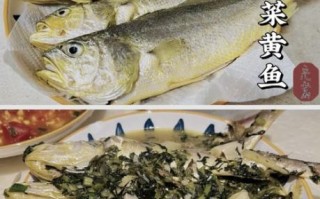 雪菜烧小黄鱼怎么做好吃_雪菜小黄鱼的家常做法