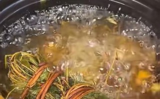 鸡骨草煲猪骨放什么料_鸡骨草猪骨汤的做法