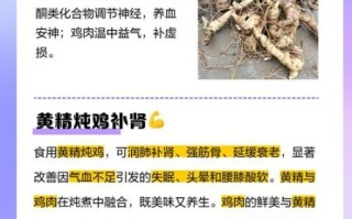 鸡子补精子做法_鸡子怎么吃最补精子