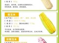 玉米是低热量还是高热量_一根玉米多少大卡
