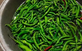 家庭腌制辣椒怎么做_腌制辣椒用什么盐最好