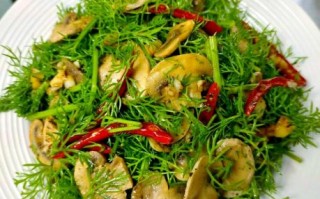 小茴香怎么吃_小茴香的做法大全