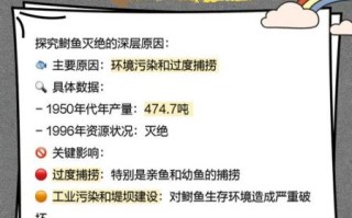 鲥鱼是什么鱼_鲥鱼多少钱一斤