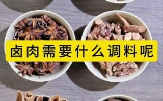 卤肉用什么香料_卤肉配料大全