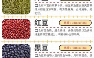 菽是什么作物_菽的种植价值与历史