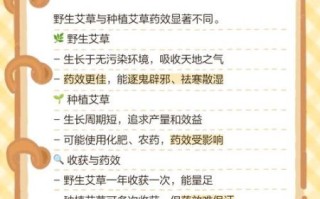 艾蒿过敏5级不能接触什么_日常禁忌清单