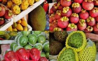海南必吃的水果有哪些_海南水果几月份最好吃