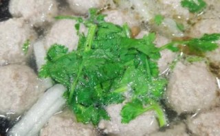 羊肉丸子汤怎么做好吃_羊肉丸子汤的做法视频