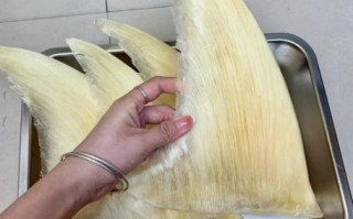 鱼翅什么人不能吃_孕妇能吃鱼翅吗