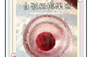 杨梅酒怎么做_杨梅酒制作视频详细步骤