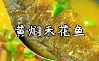 黄焖鱼怎么做_黄焖鱼用什么鱼最好