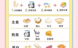 儿童营养食谱搭配表_如何科学安排一日三餐