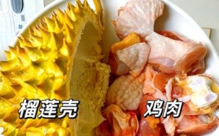 榴莲煲鸡怎么做_榴莲煲鸡需要焯水吗