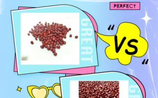 红小豆和赤小豆的区别_哪个祛湿更好