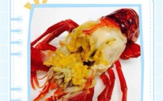 波士顿龙虾脑能吃吗_龙虾脑黄能吃吗