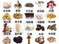 食用菌有哪些种类_如何挑选新鲜食用菌