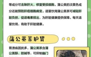 蒲公英泡水哪些人不能喝_孕妇低血压人群禁忌